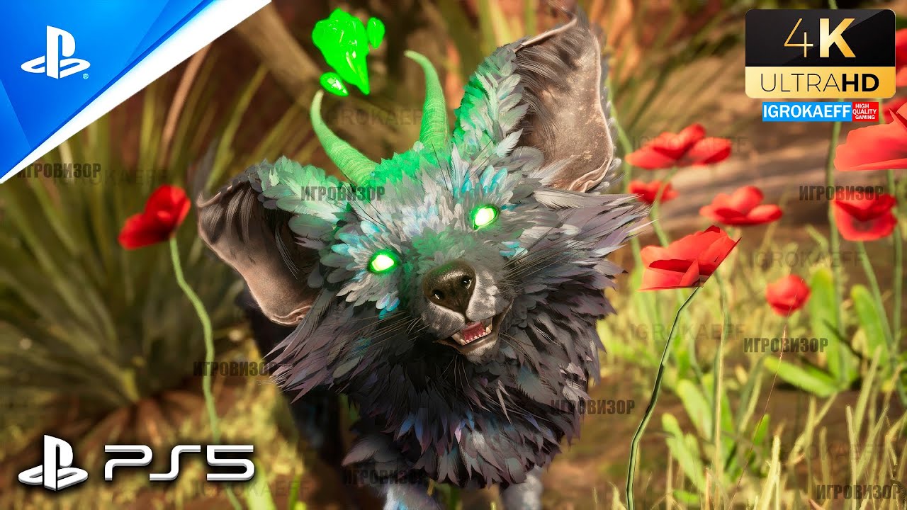 (PS5) Wild Roy - LOOKS ABSOLUTELY AMAZING | Ultra Realistic Graphics ...