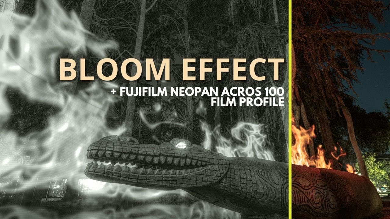 Dehancer your Spring with Bloom Effect: How to Emulate Film - YouTube