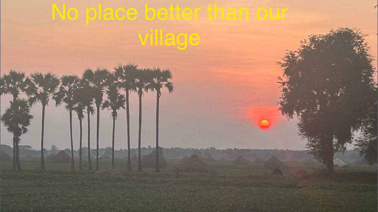 Amruthalur Village green fields , Neera trees #CountrysideCharm # ...