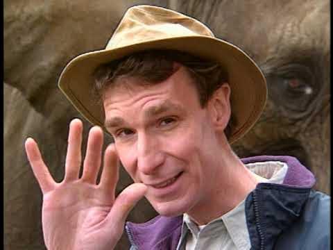 Bill Nye The Science Guy - S03E13 - Mammals - Best Quality - YouTube