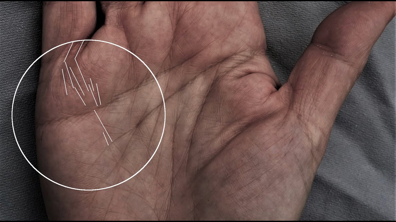 How To FIND YOUR MONEY LINES | HAND ANALYSIS - YouTube