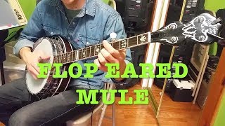 Banjo - Flop Eared Mule Chords - ChordU