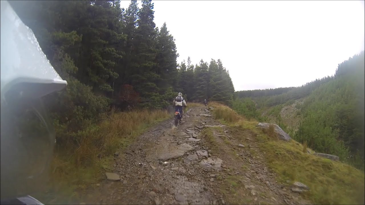 CRF250X-RL TRAIL RIDING IN THE WOODS - YouTube