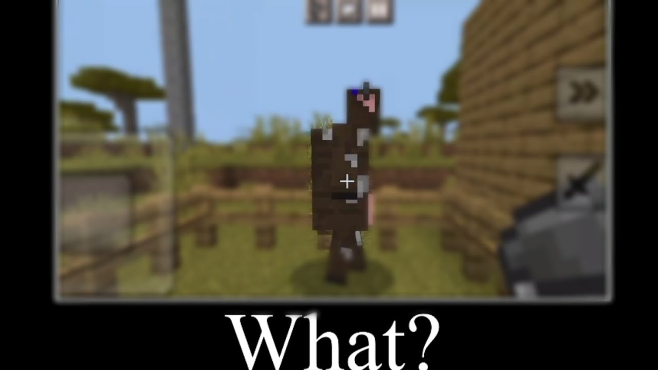 Wait What (Minecraft) part 5 - YouTube