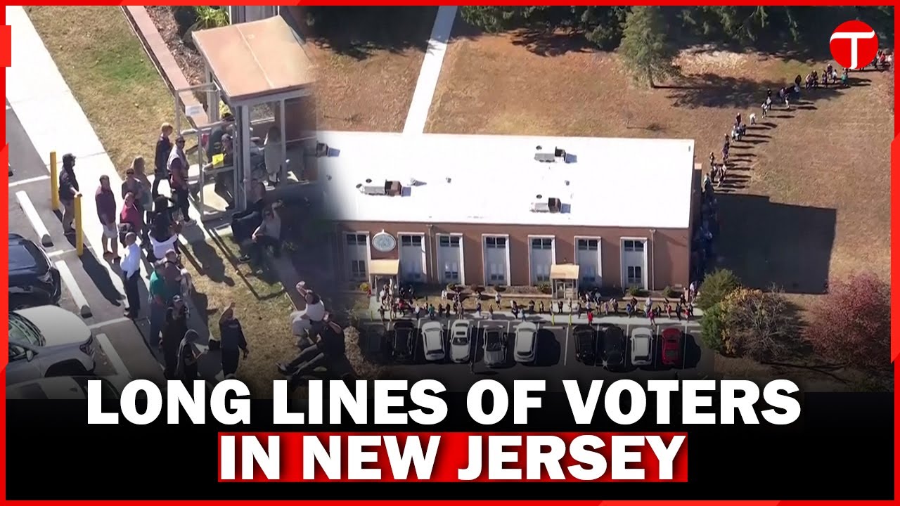 Aerial footage captures a lengthy queue of voters waiting outside a ...
