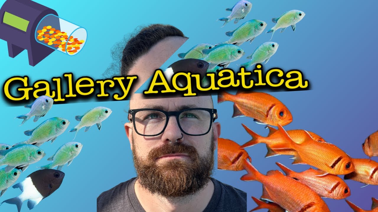 AquaCHAT - RORY from GALLERY AQUATICA - YouTube