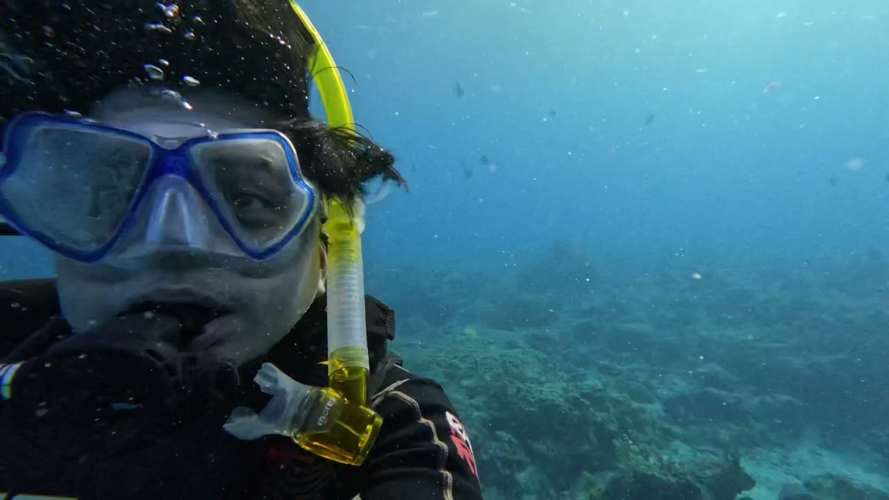 Scuba diving @ Key Largo Florida Keys.2021 - YouTube