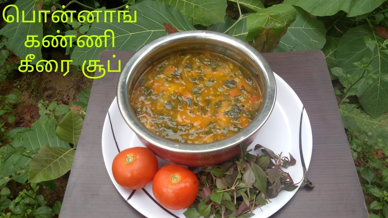 Ponnanganni keerai soup in Tamil | பொன்னாங்கண்ணி கீரை சூப் |How to do ...