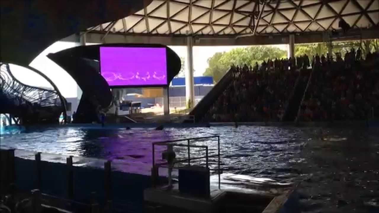 One Ocean at SeaWorld San Antonio,TX - Full Show HD 6-23-2014 - YouTube