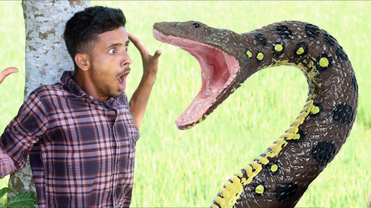 Anaconda Snake Attack Man in Amazon Forest | Anaconda Snake Fun Made Movie By Wild Fighter - YouTube