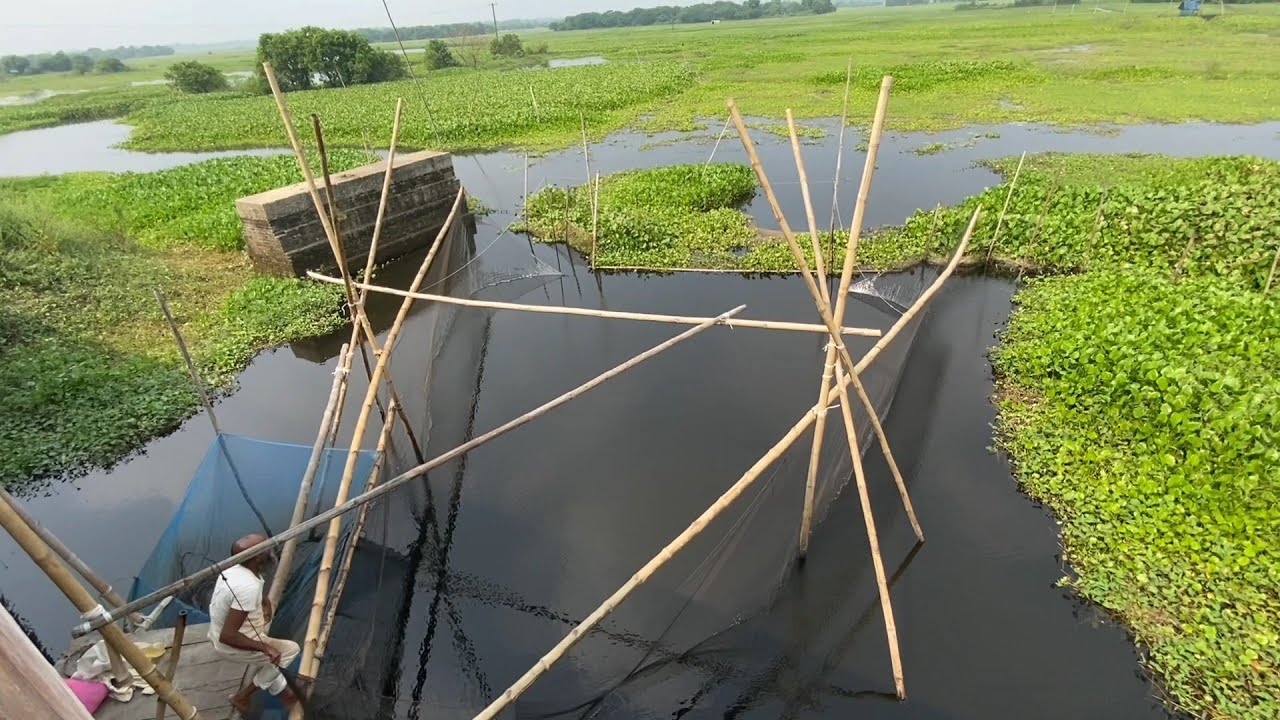 Traditional Unique Net Fishing Trap | Interesting Fishing Video | Best ...