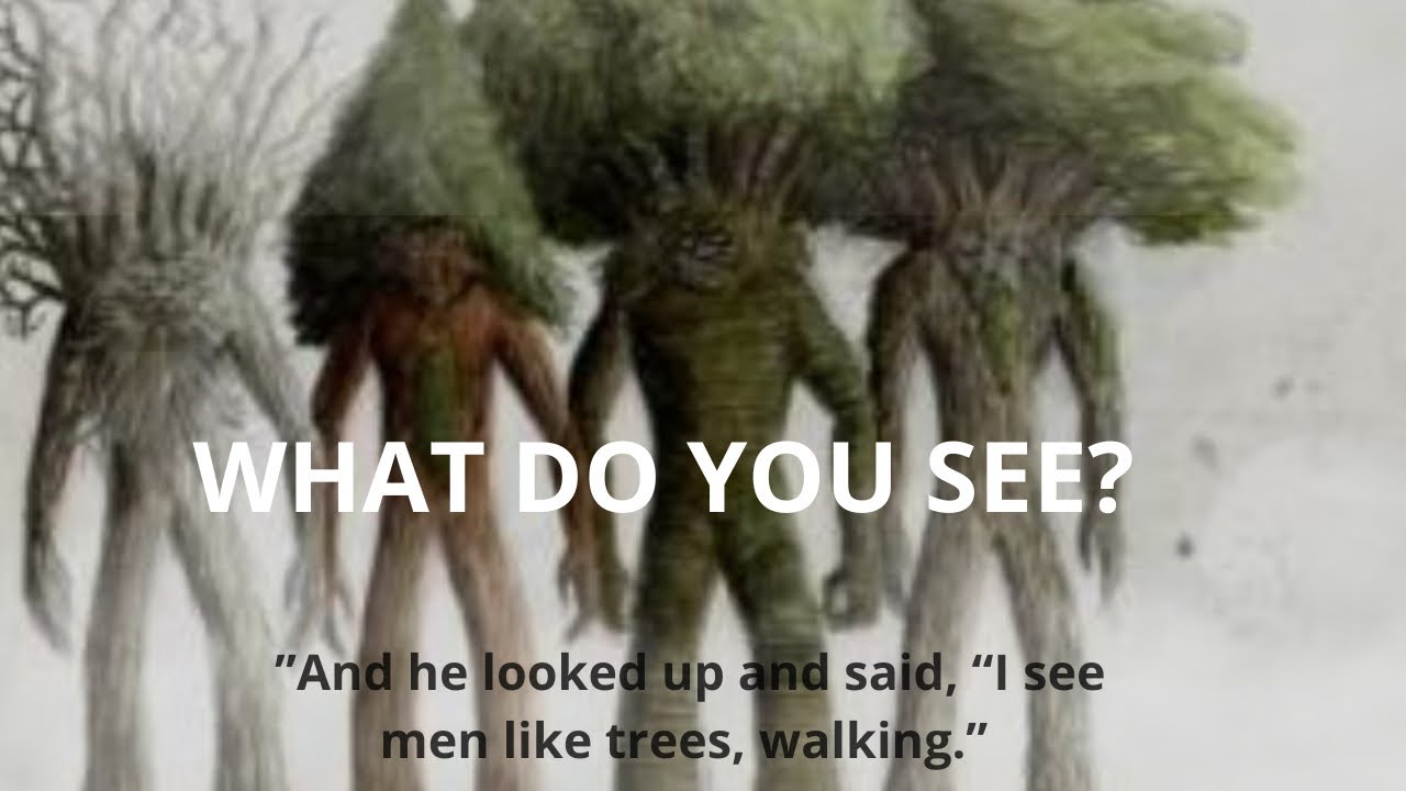 What do you see ? “ I see men like trees walking “ ep 1d - YouTube