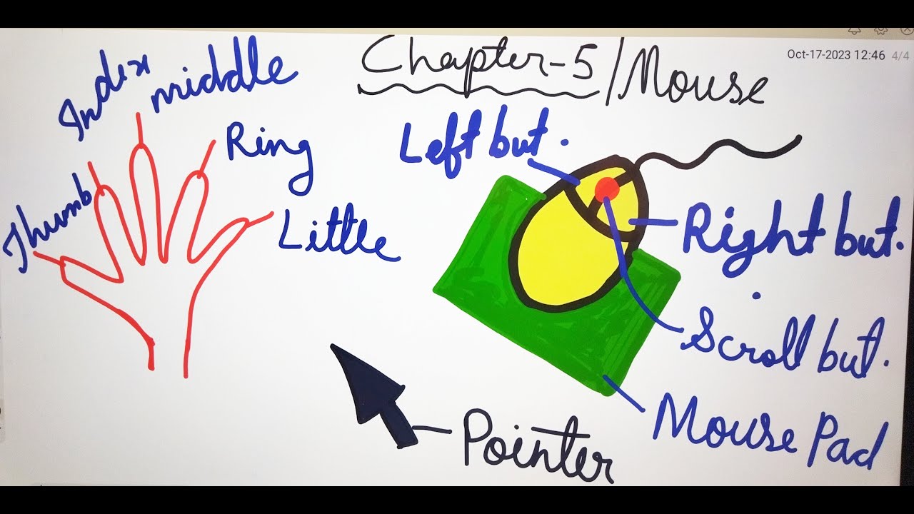 What is Mouse activity of class 1st students - YouTube