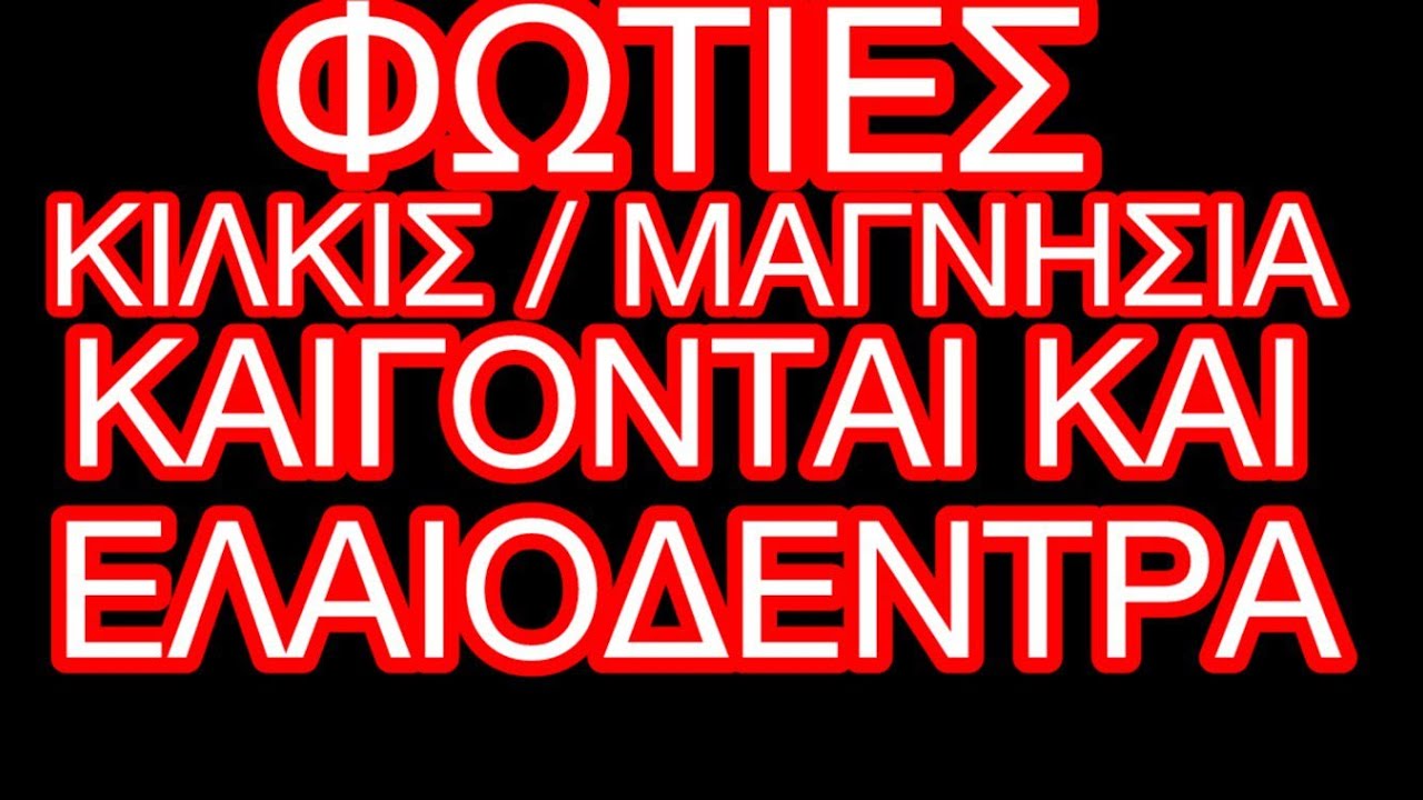 ΦΩΤΙΕΣ ΣΕ ΚΙΛΚΙΣ / ΜΑΓΝΗΣΙΑ/ ΚΑΙΓΟΝΤΑΙ ΚΑΙ ΕΛΑΙΟΔΕΝΤΡΑ / ΕΝΤΟΝΗ ...