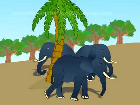 Elephant Walk Cycles, Anime Studio Pro - YouTube