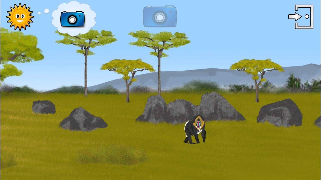 Find Them All: Looking for Animals - YouTube