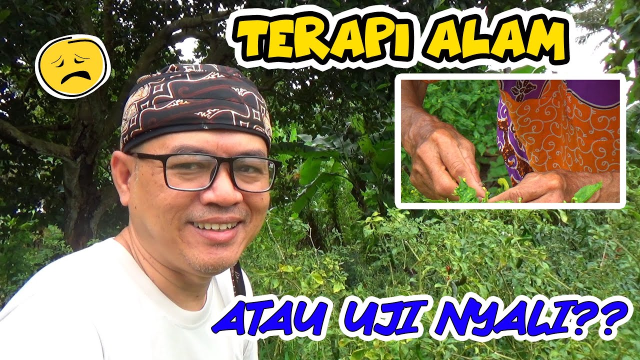 terapi alam inspiratif wisata alam murah meriah metik cabe di kebun ...