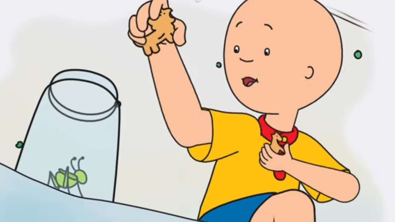 Caillou's huisdier Insect | Caillou Nederlands - WildBrain - YouTube