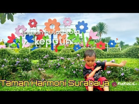 TAMAN HARMONI | Indahnya Taman Hutan Kota Surabaya - YouTube