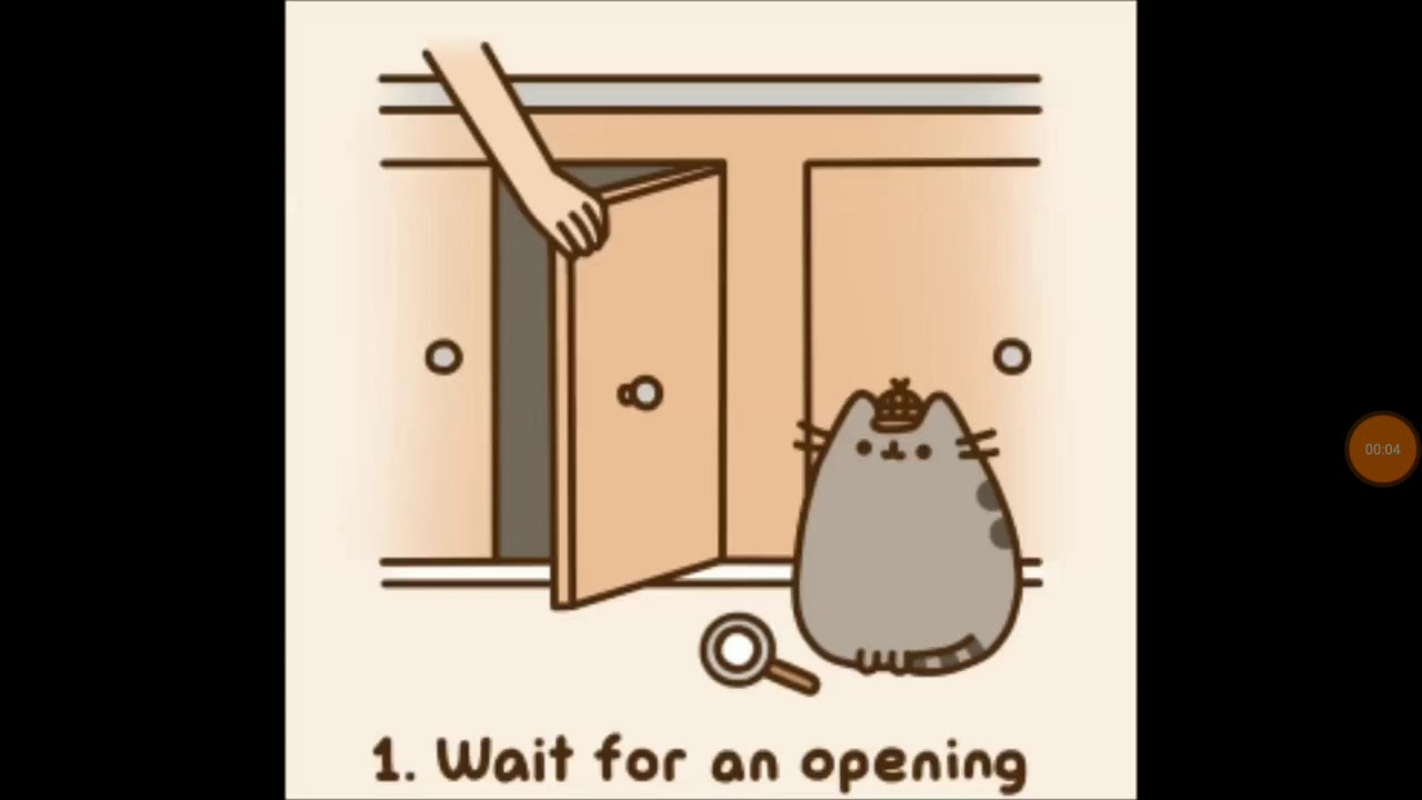 Weird BS of Pusheen - YouTube