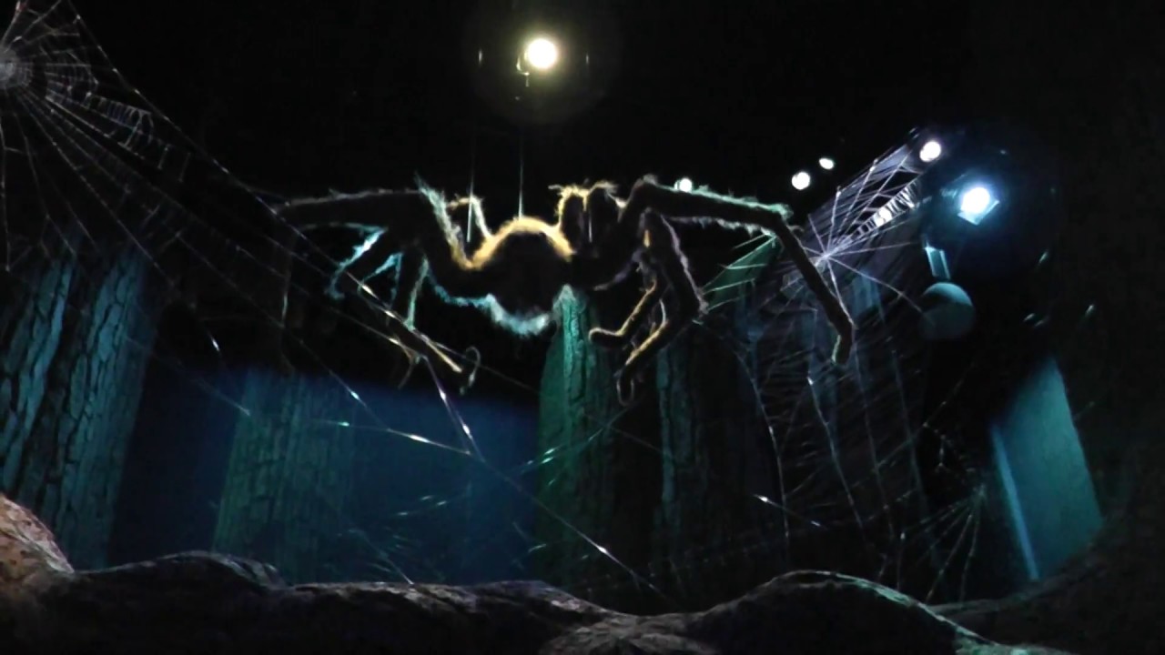 Forbidden Forrest! Aragog Harry Potter Tour at warner bros london - YouTube