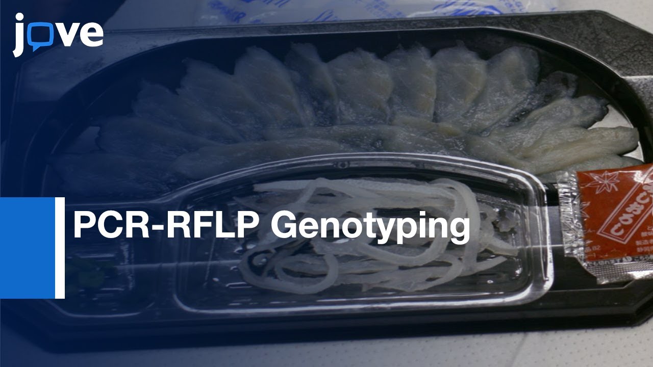 PCR-RFLP Genotyping of Toxic Pufferfish by LC/MS | Protocol Preview ...