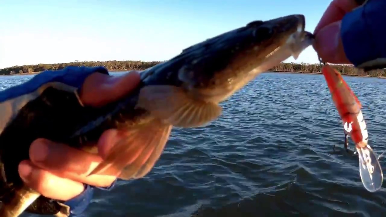 Bream, Flathead around Brisbane and Redcliffe - Fishing Compilation 3 ...