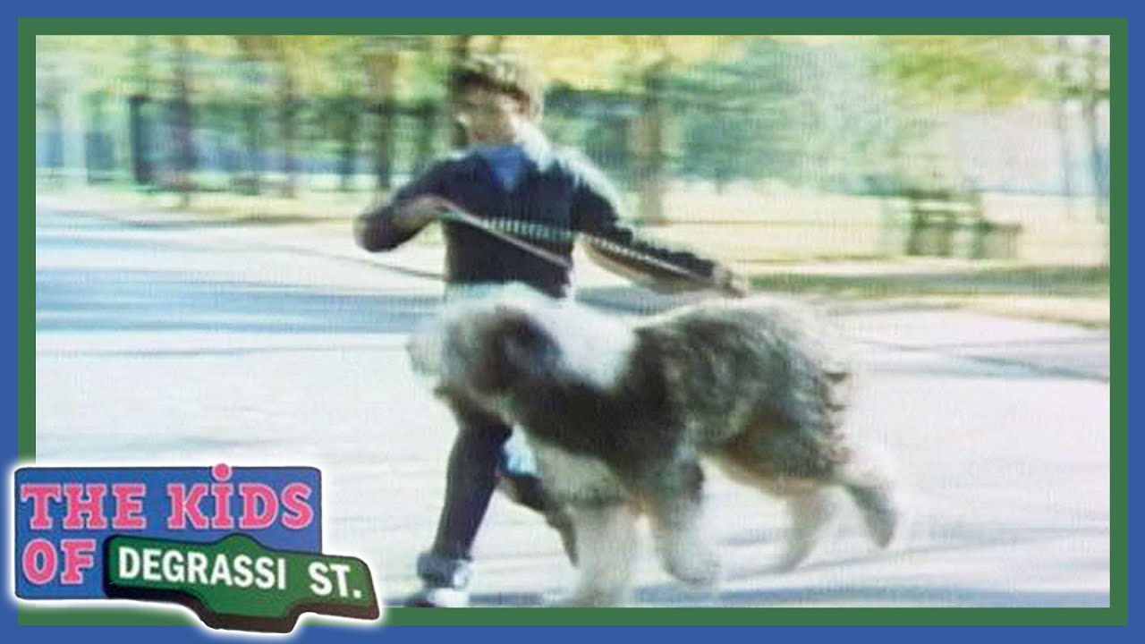 Vintage Degrassi - 1979 -The Kids of Degrassi Street Ep 12: Benjamin ...