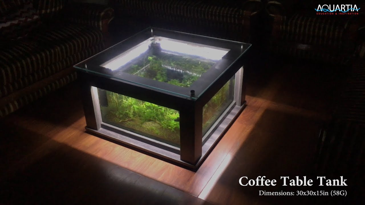 Coffee Table Tank - YouTube