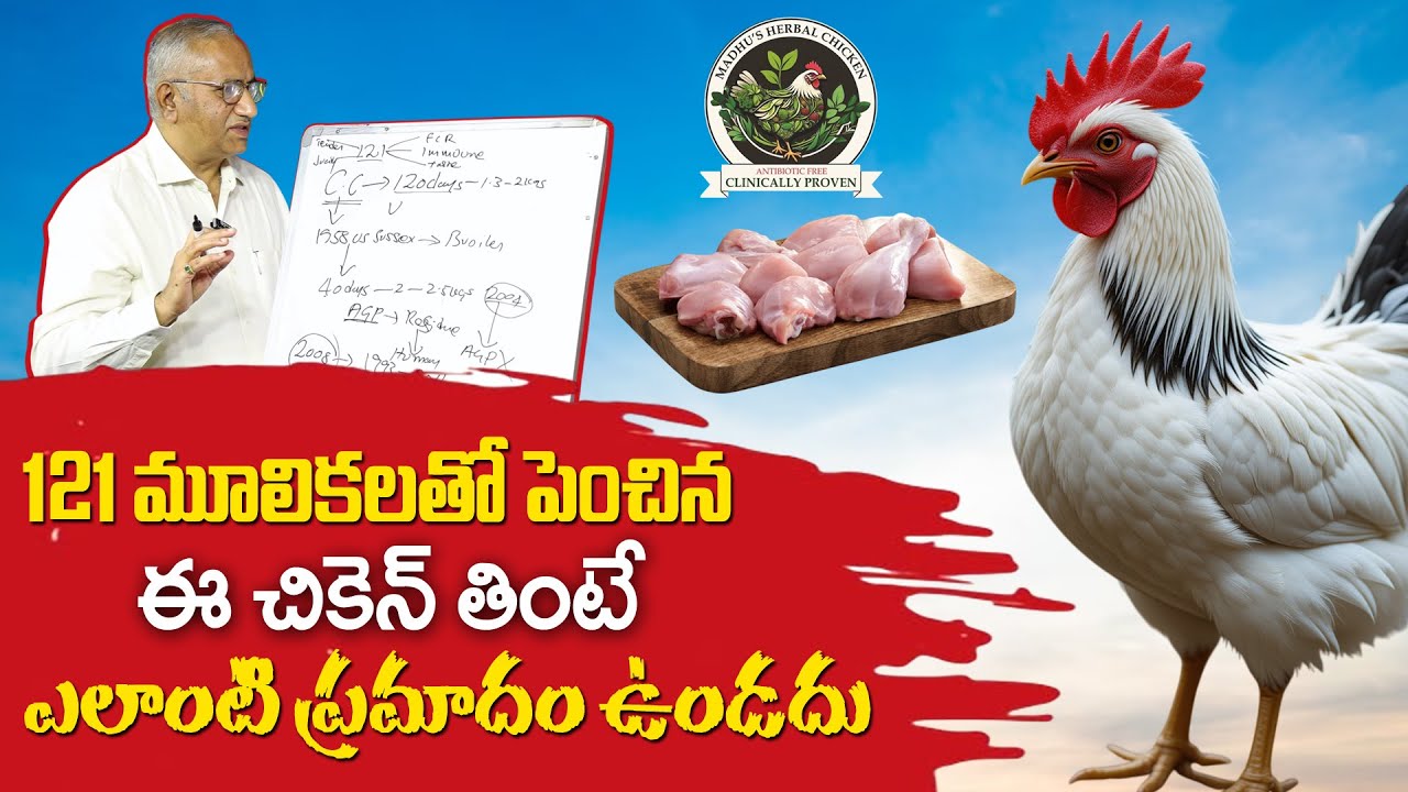 కల్తీ లేని క్వాలిటీ చికెన్..| Soft,Tender & Healthy Chicken | Madhu’s ...