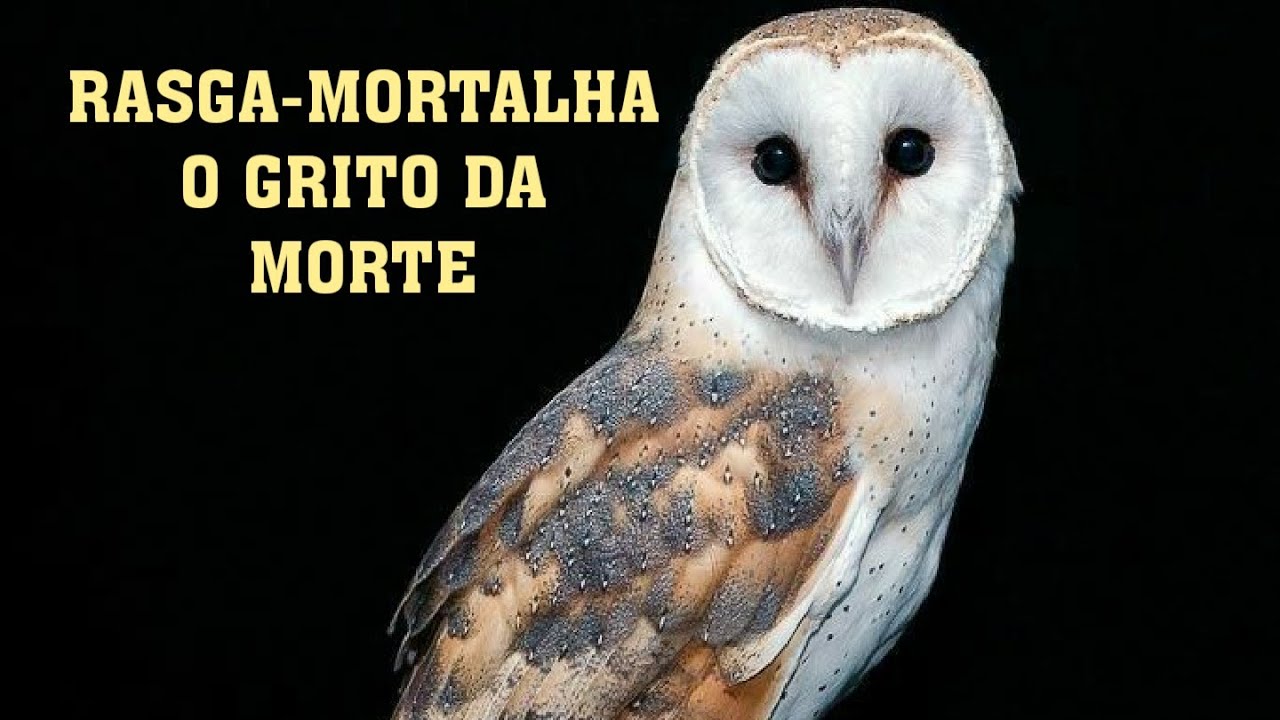 Rasga-mortalha - YouTube