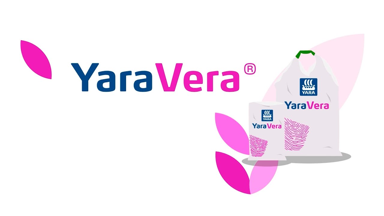 Conheça o YaraVera - YouTube