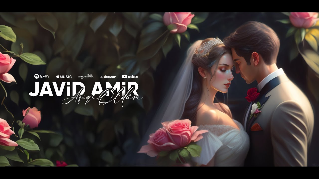 Javid Amir — Aşiq Oldum (Rəsmi Audio) - YouTube