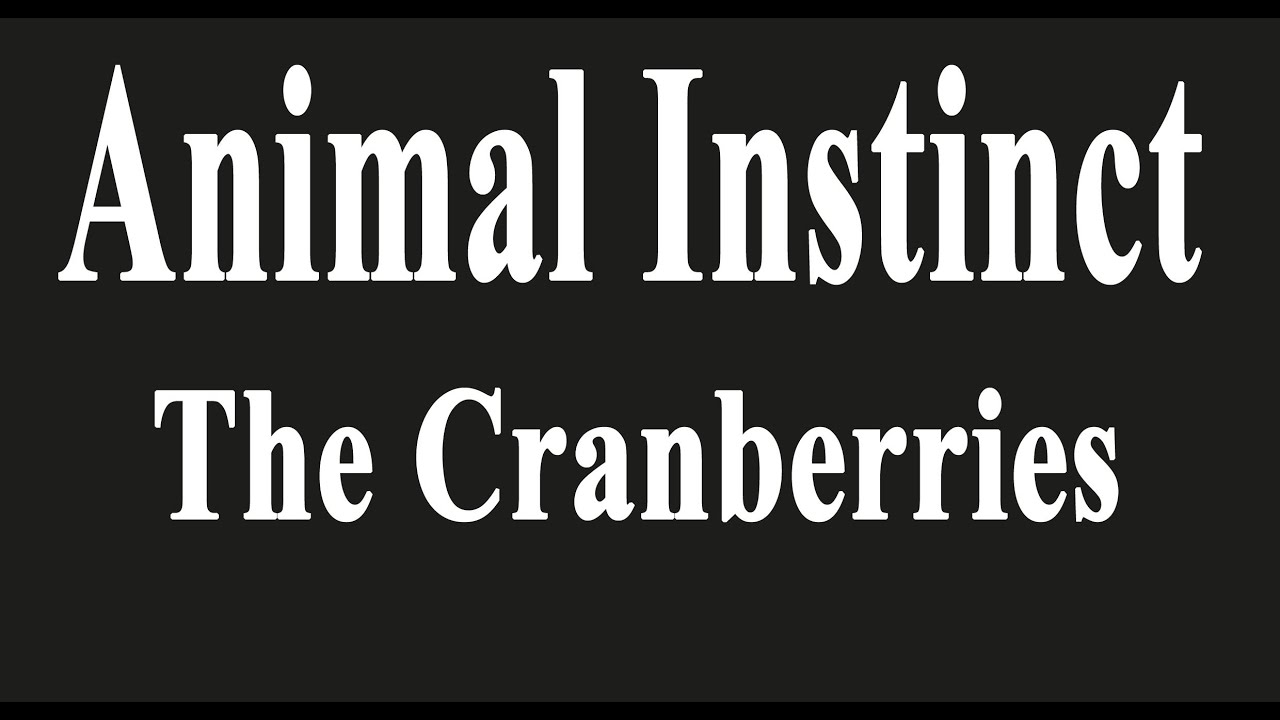 Animal Instinct ( The Cranberries ) Karaoke Version - YouTube