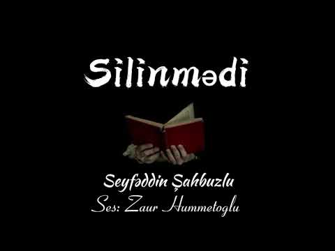 Zaur Hummetoglu - Silinmədi....🫀 Whatsapp vs Instagram üçün status (2025)