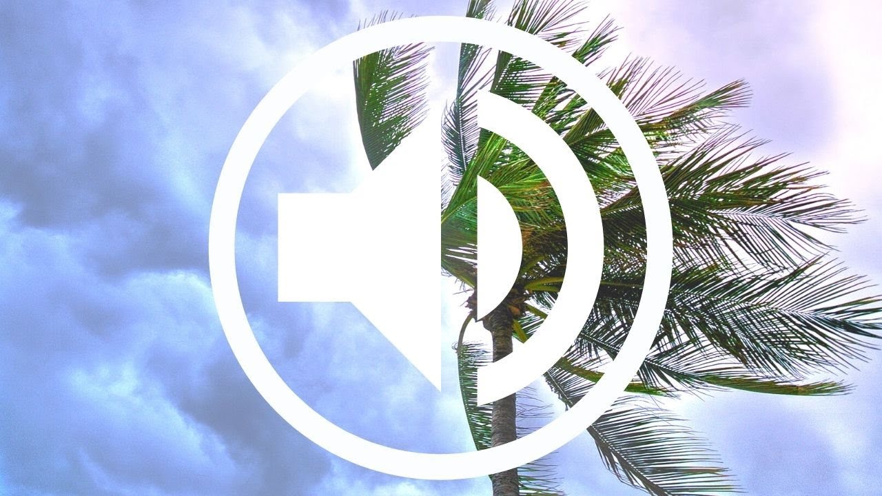 Wind Blowing Realistic Sound Effects | Best Quality HD - Free Audio ...