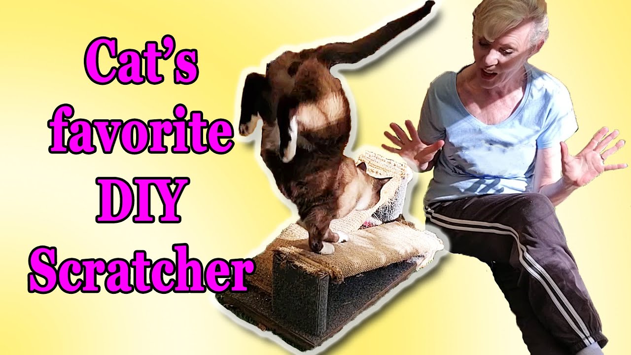 How To Make EASY Cat Scratcher YouTube how-to-make-easy-cat-scratcher-youtube
