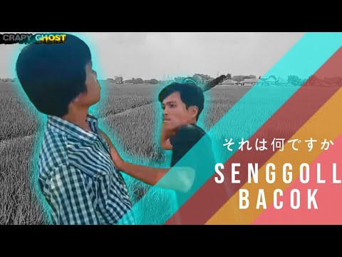 SENGGOL BACOK !!! - YouTube