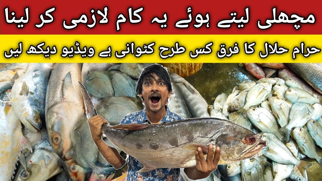 Amazing Cutting Skills | Boneless Fish Cleaning/Cutting By Expert Fish ...