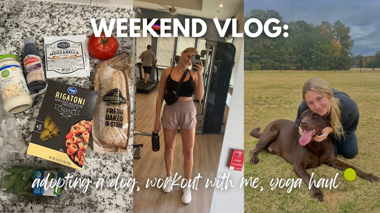 VLOG | adopting a dog, best lululemon dupes + workout with me - YouTube