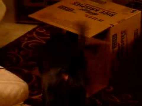 Where's Samuel Macey? - YouTube