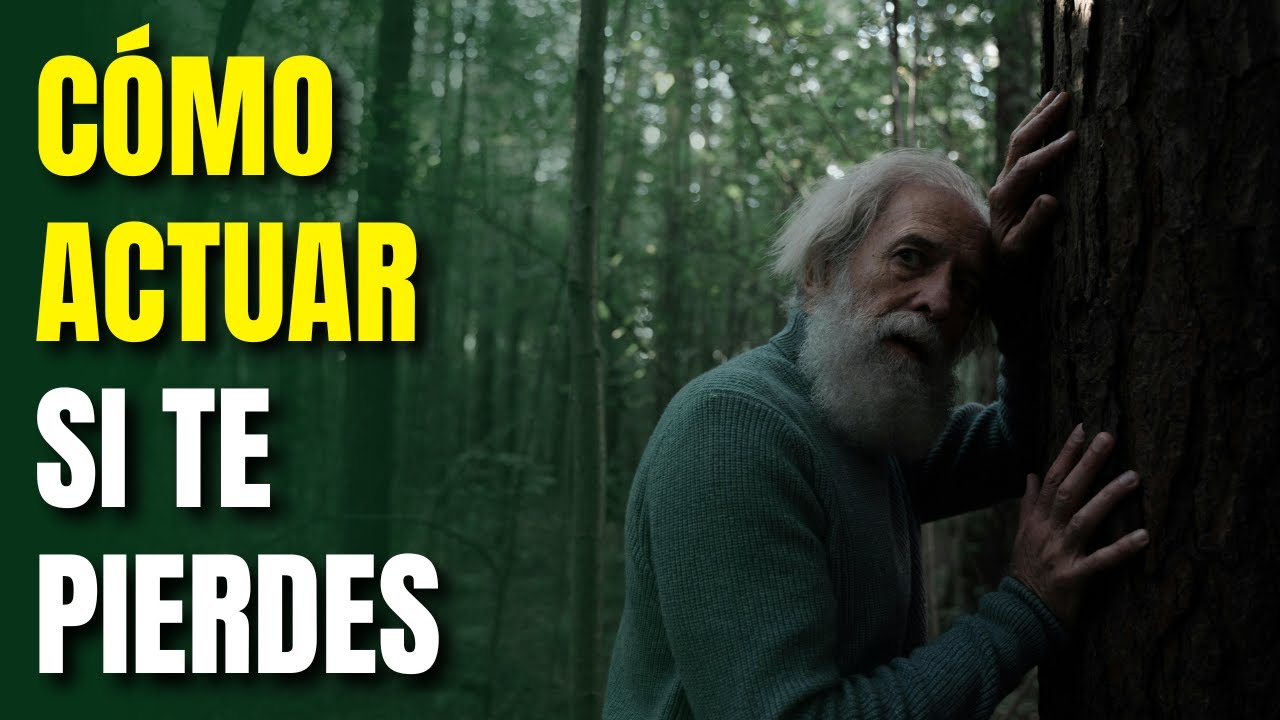 Qué Hacer Si Te Pierdes en el Bosque: Guía PASO A PASO - YouTube