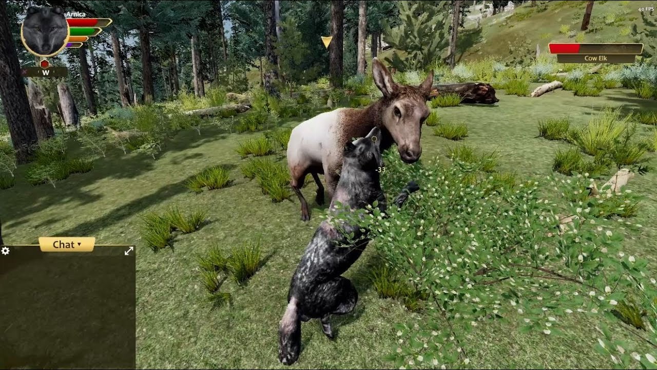 Hunting Elk and Mule Deer Fawns in WolfQuest 3 Anniversary Edition ...