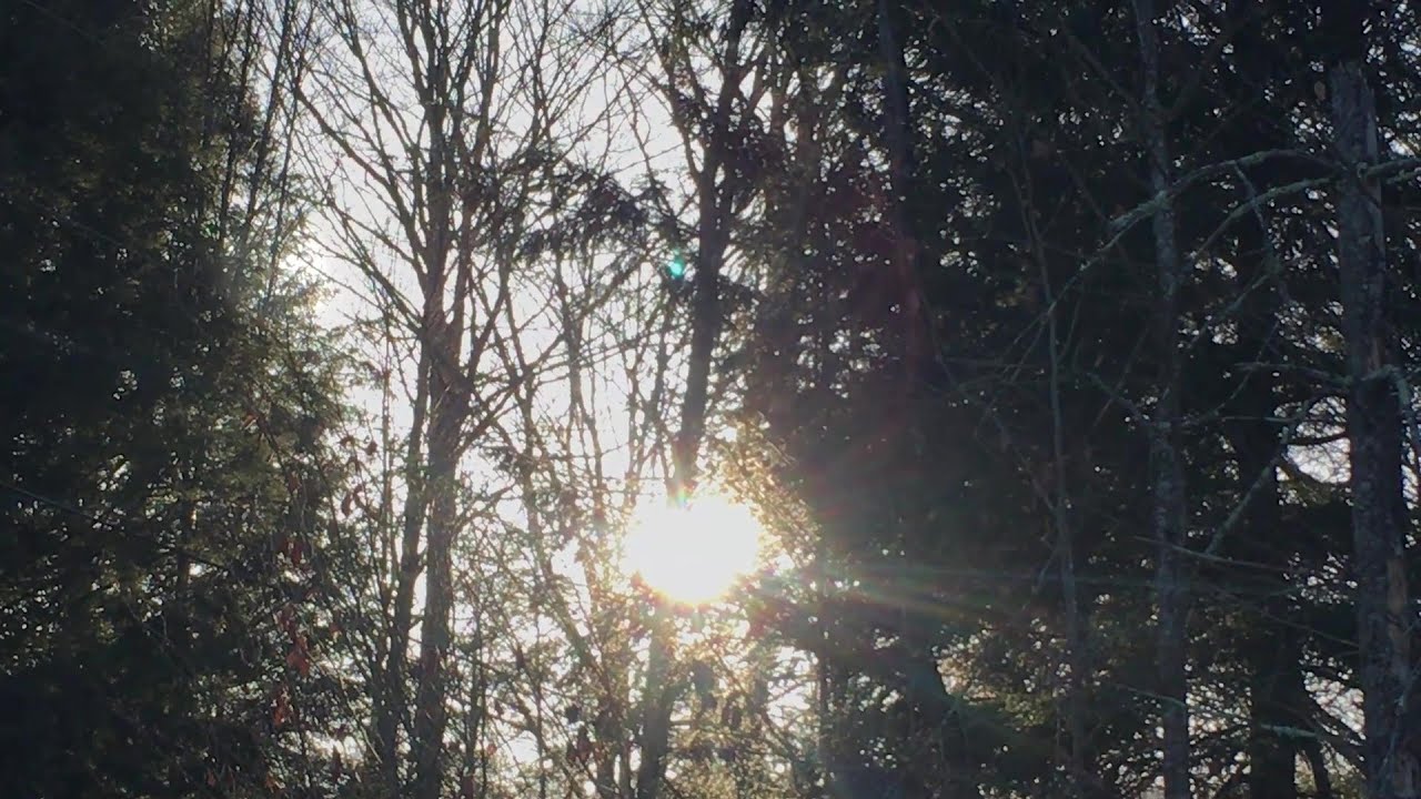 LATER TODAY...TOTAL SOLAR ECLIPSE IN MY BACKYARD - YouTube