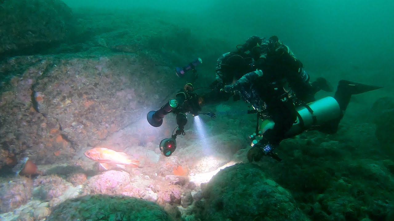 Diving in Point Lobos - YouTube