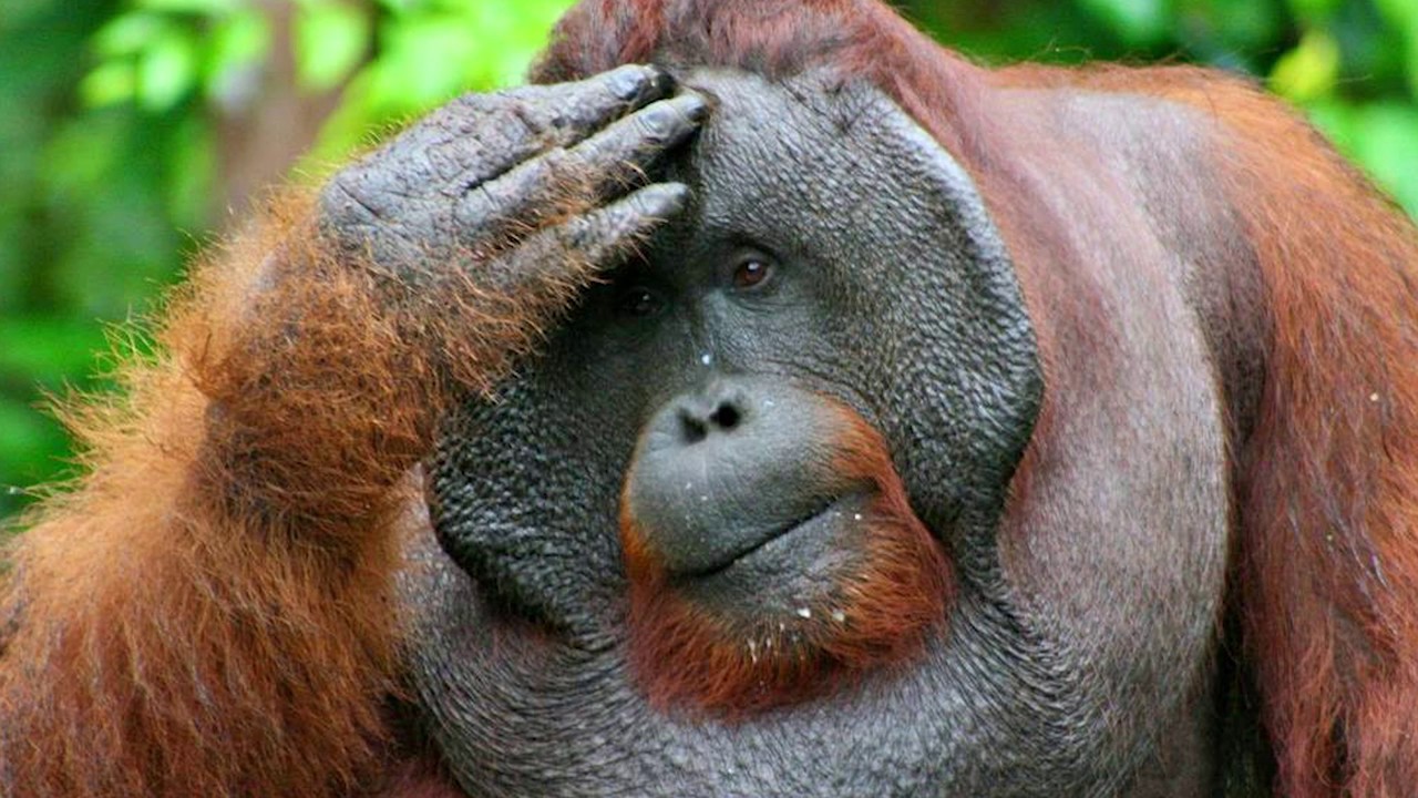 Best of r/sbubby - YouTube