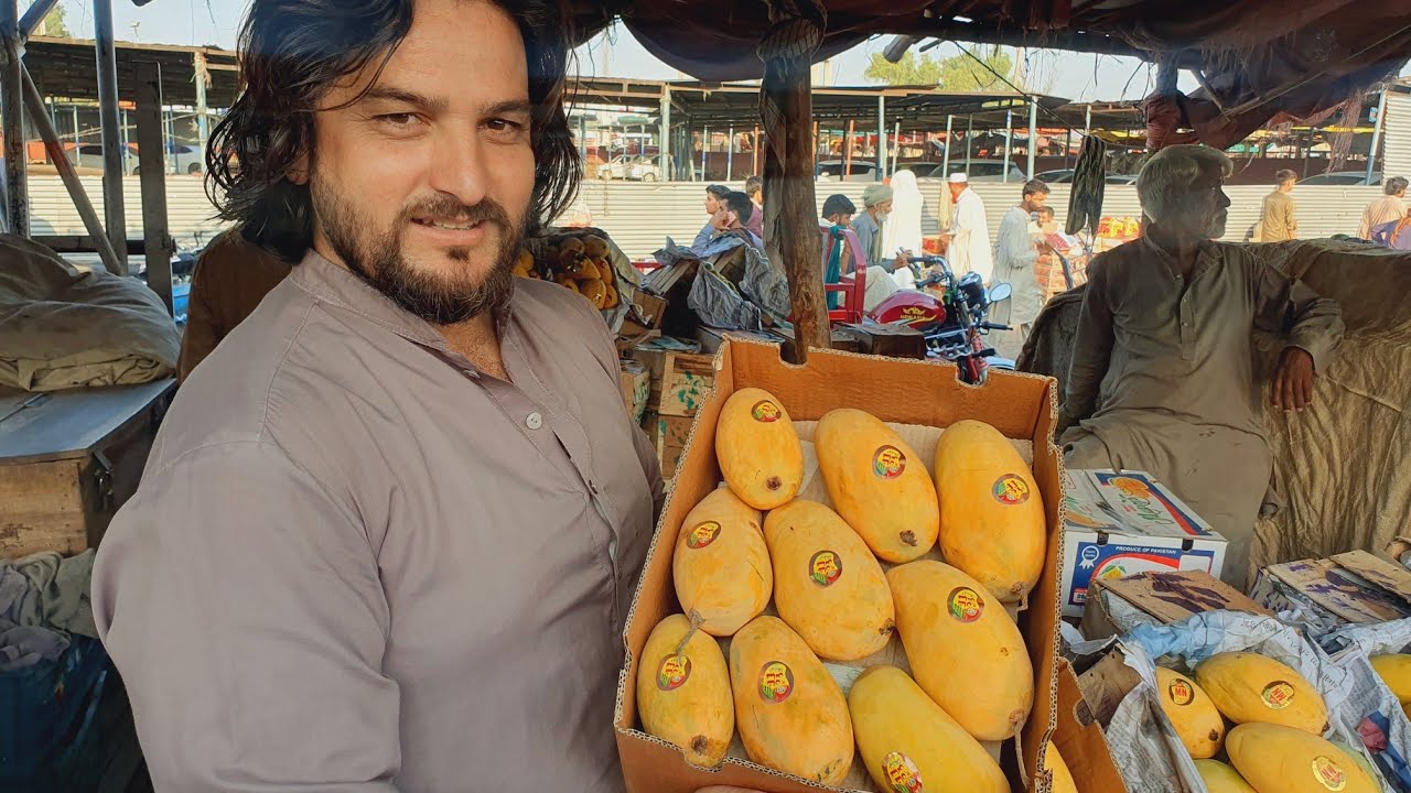Premium export Quality mango | Pakistani best chonsa Mango | daily ...