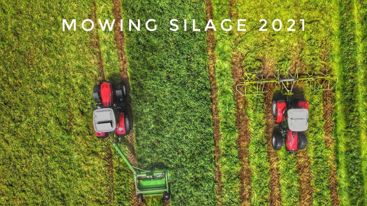 Silage 2021 In Ireland | Mowing & Raking With MASSEYS - YouTube