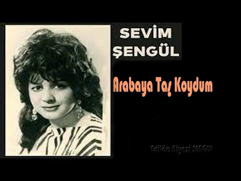 Sevim Şengül - Arabaya Taş Koydum (SİNEMATİK ŞARKILAR)