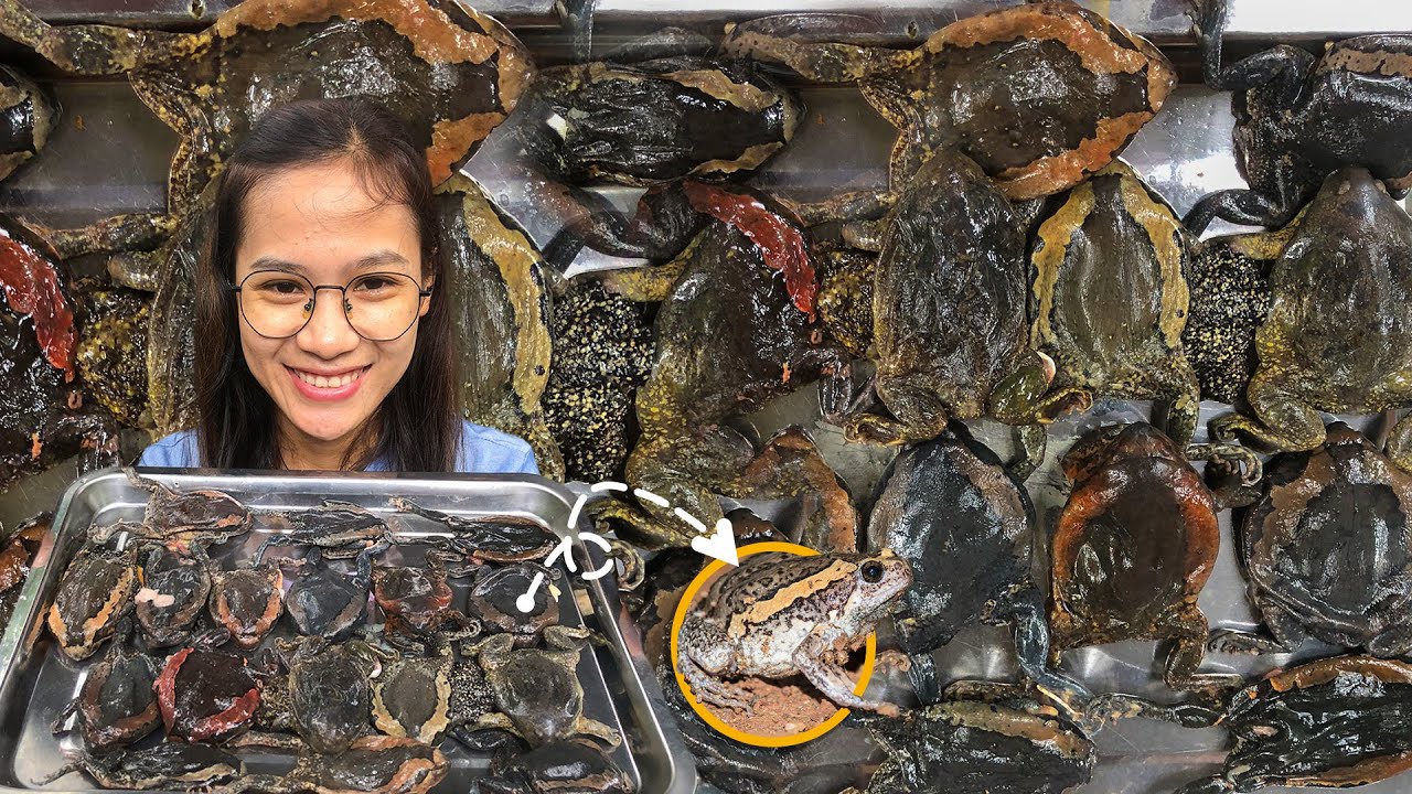 EATING MUKBANG | POPULAR CAMBODIA | FRIED BANDED BULLFROGS | STEAM RICE ...